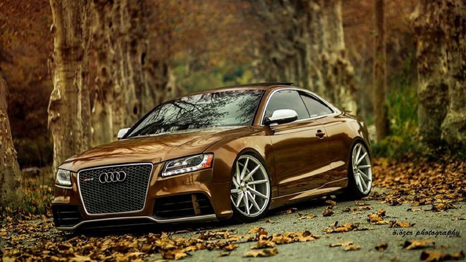 10 Pictures of Audis That Will Get You Into the Fall Spirit | Audiworld