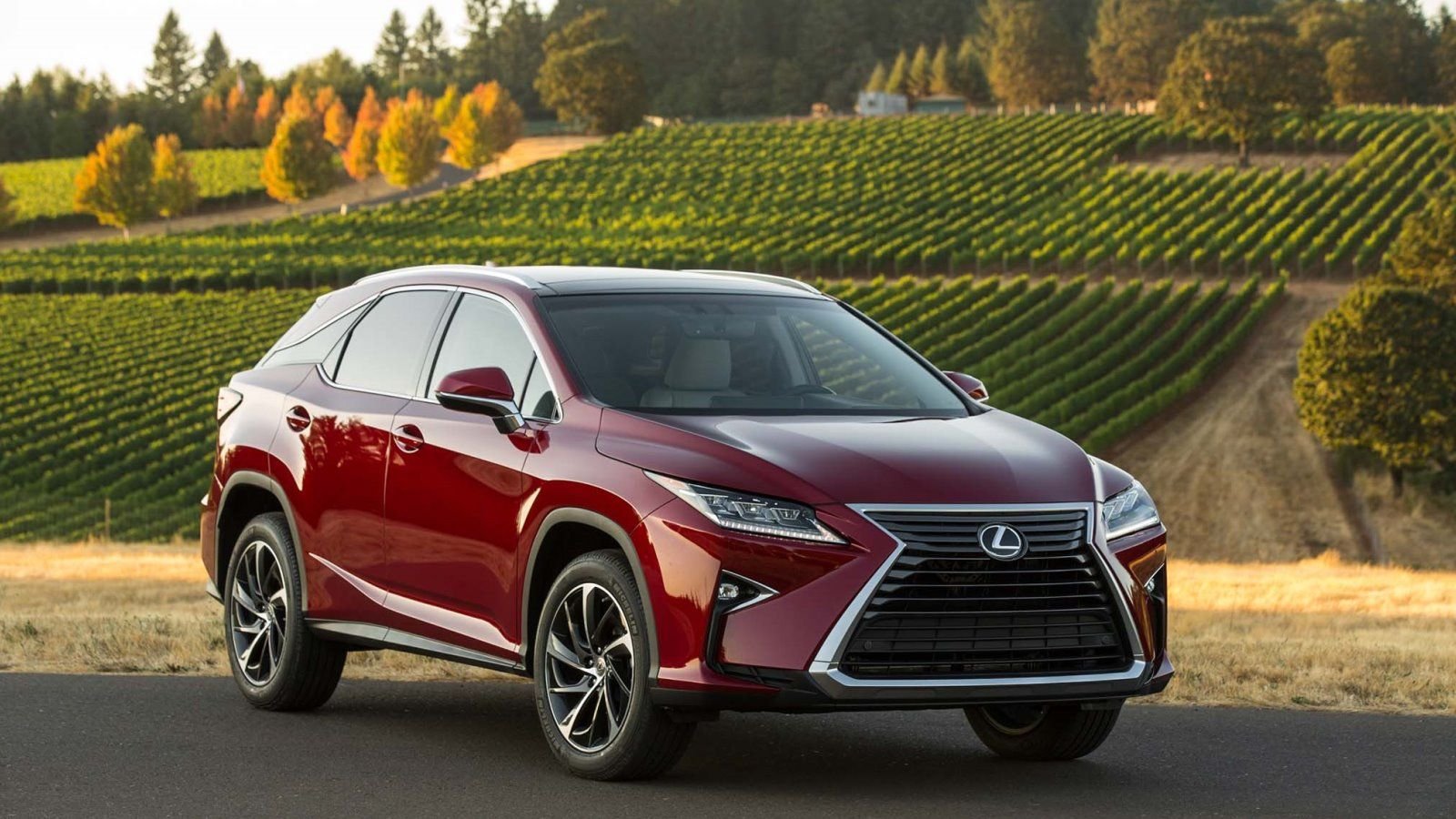 8 Lexus Cars to Cheer up Your Fall | Clublexus