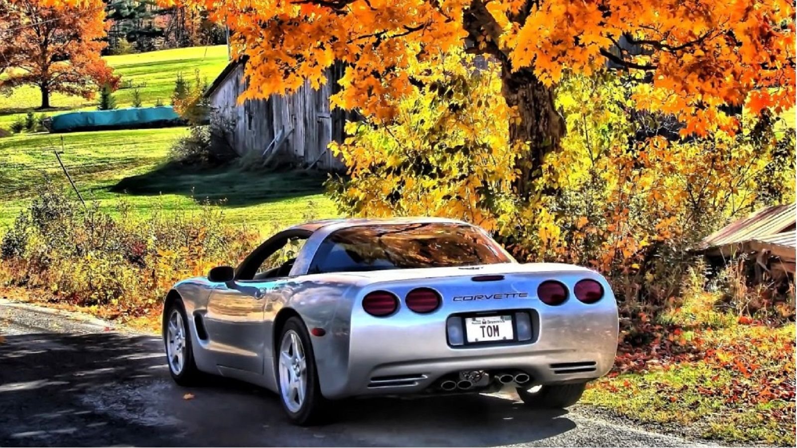 Corvettes Driving Through the Autumn Leaves | Corvetteforum