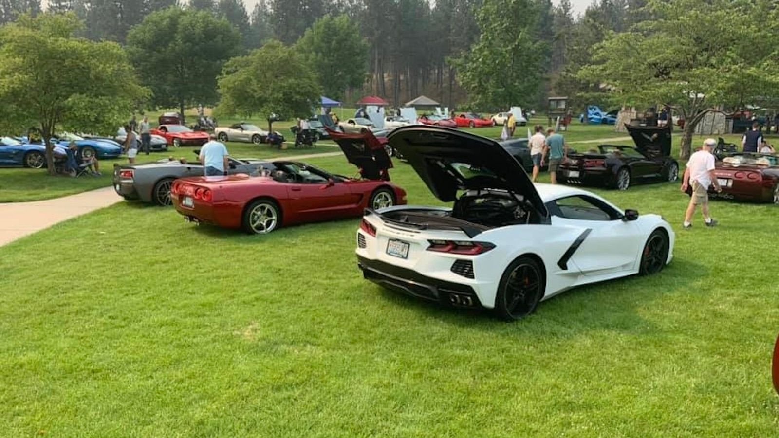 Local Corvette Club Is Passionate About Their Beloved Sports Cars ...