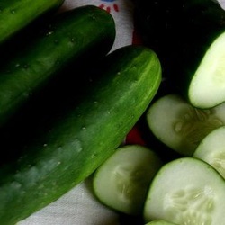 Cucumbers: Sweet, Crunchy Slices of Summer - Dave's Garden