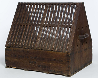 Dr Ward's Magic Box - Dave's Garden