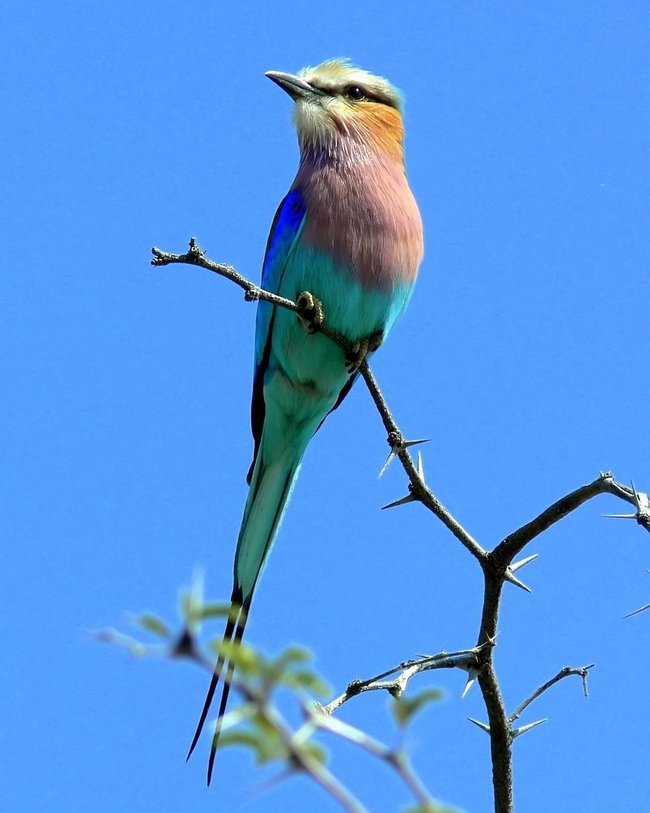 Announcing the Winners of the 2016 Photo Contest - Dave's Garden