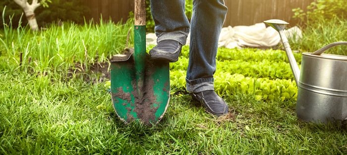 Things to Consider Before Digging Up Your Lawn - Dave's Garden