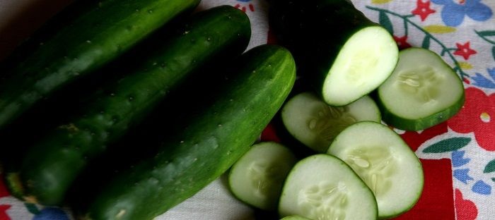 The Versatile Cuke - Dave's Garden