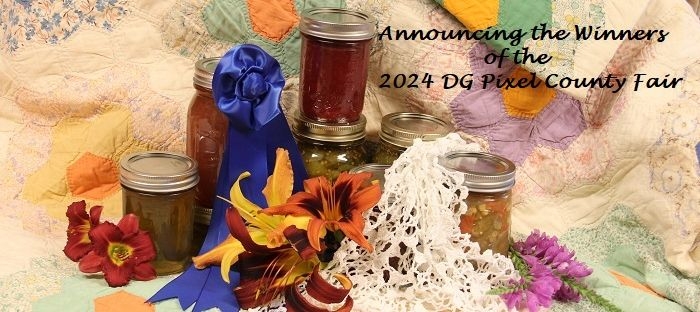 The 2024 DG Pixel County Fair is over and we’re very pleased to share ...