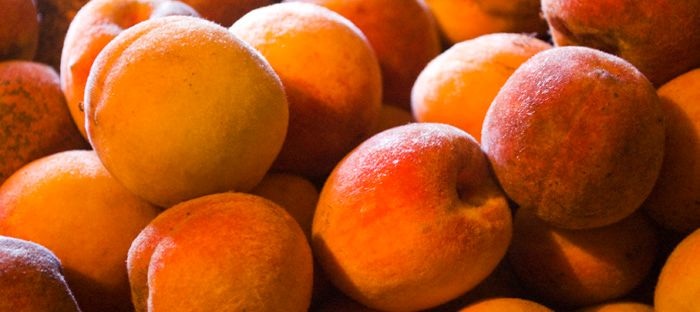 A Peach of a Peach the Heirloom Red Rareripe - Dave's Garden