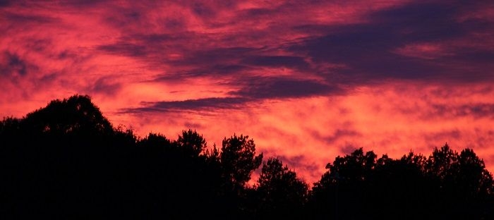 Appreciating Late Autumn Sunsets - Dave's Garden