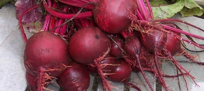 The ABCs of Fall Vegetables and Fruits to Plant - Dave's Garden