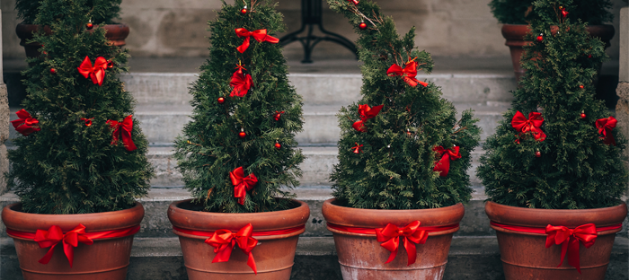 Go Beyond the Wreath with Creative Holiday Decor - Dave's Garden