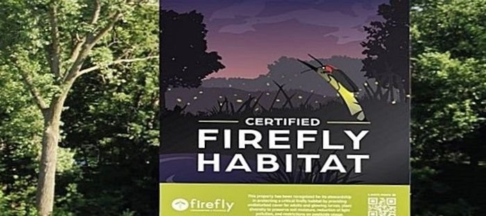 Our Endangered Native Plants - Dave's Garden