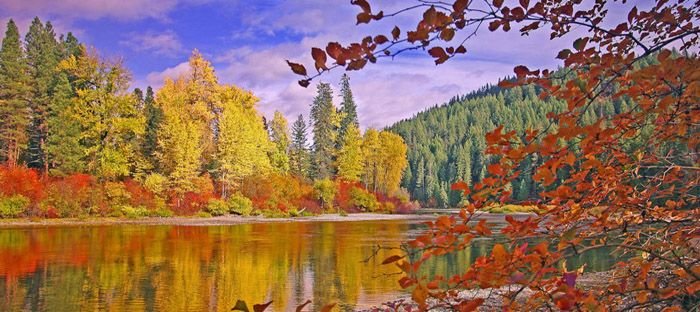 7 Best Places in the U.S. to See Fall Foliage - Dave's Garden