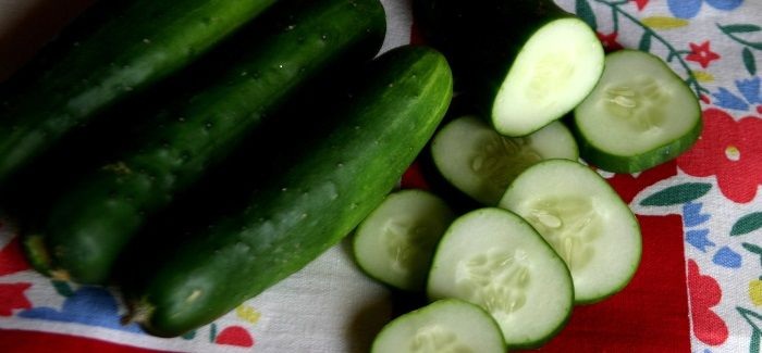 How to Select Seeds that Yield the Biggest Harvest - Dave's Garden