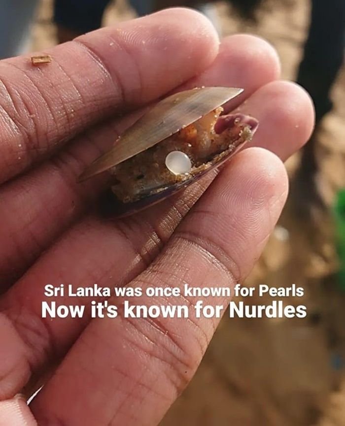 Why You Should Care About Nurdles - Dave's Garden