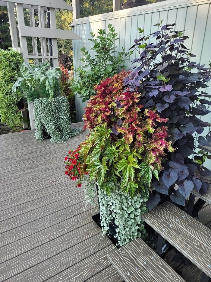 container garden