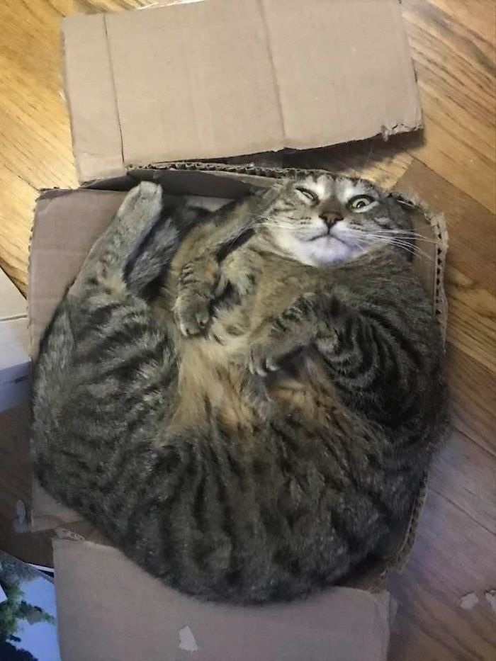 DG Sunday Funnies for August 6th, 2023 - Dave's Garden