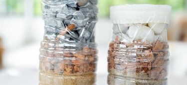 How to Make Your Own Water Purifier | DoItYourself.com