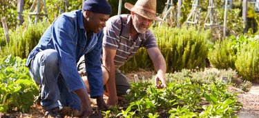 Homesteading for Beginners | DoItYourself.com