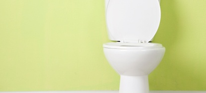 The Pros and Cons of a Back Flush Toilet | DoItYourself.com