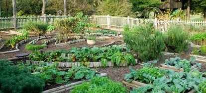 How to Plant a Potager Garden | DoItYourself.com