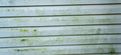 Mildew Stain Removal from Vinyl | DoItYourself.com