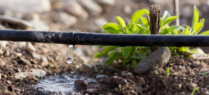 4 Types of Drip Irrigation Systems Explained | DoItYourself.com