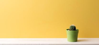 How to Install Level Shelving | DoItYourself.com