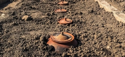 Low-Tech Clay Pot Irrigation | DoItYourself.com