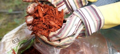 A Guide to Colored Mulch and How to Dye Your Mulch | DoItYourself.com