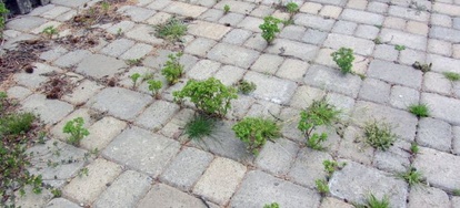 The Best Ways to Prevent Weed Growth Between Pavers | DoItYourself.com