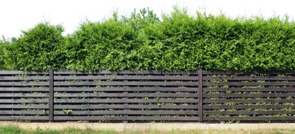 How to Build a Cheap, Stylish Horizontal Slat Fence | DoItYourself.com