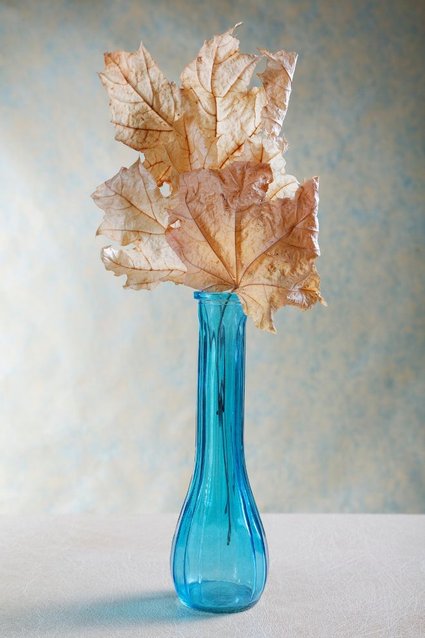 3 Ways to Decorate With Real Dried Leaves | DoItYourself.com