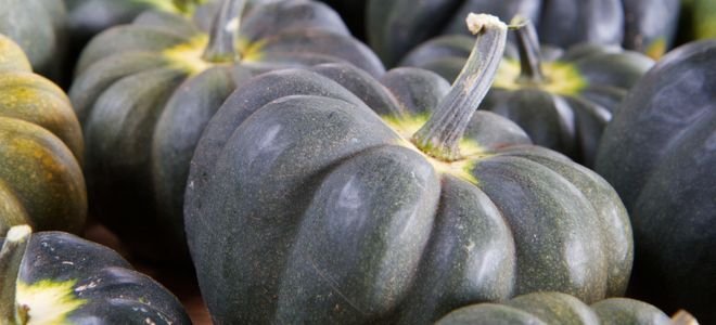 29 Pumpkin Varieties | DoItYourself.com