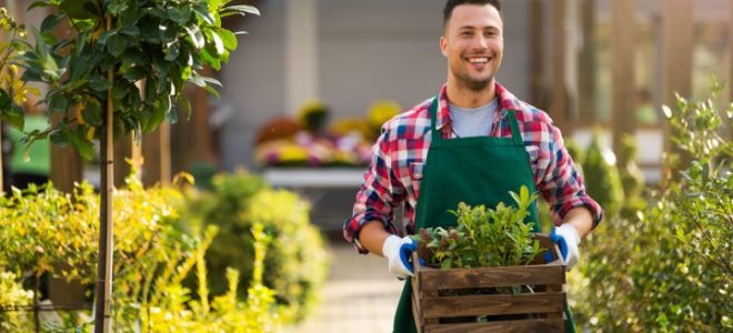 How to Start a Landscaping Business | DoItYourself.com