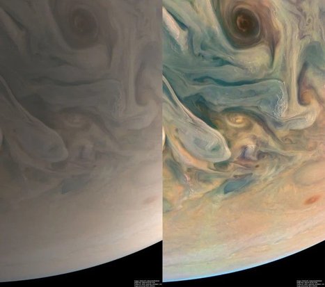 Citizen Scientists Create Stunning Pictures of Jupiter with the Help of ...