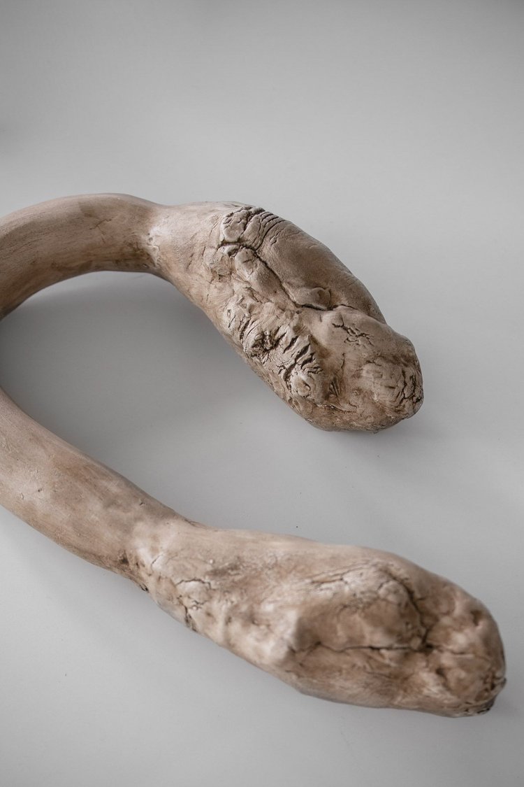 Alien Autopsy: A Series of Strange Ceramic Creations by Åsa Stenerhag ...