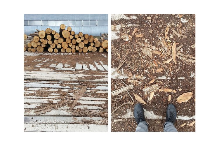 GIRIA: Biodegradable Dishes Made of Tree Bark Waste | Designs & Ideas ...