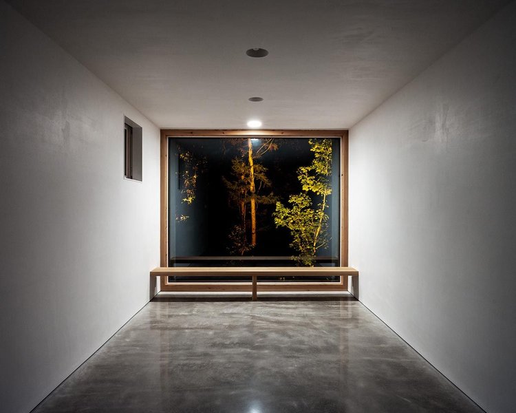 Branch-Shaped House in the Forest Enables Solitude at Family Gatherings ...