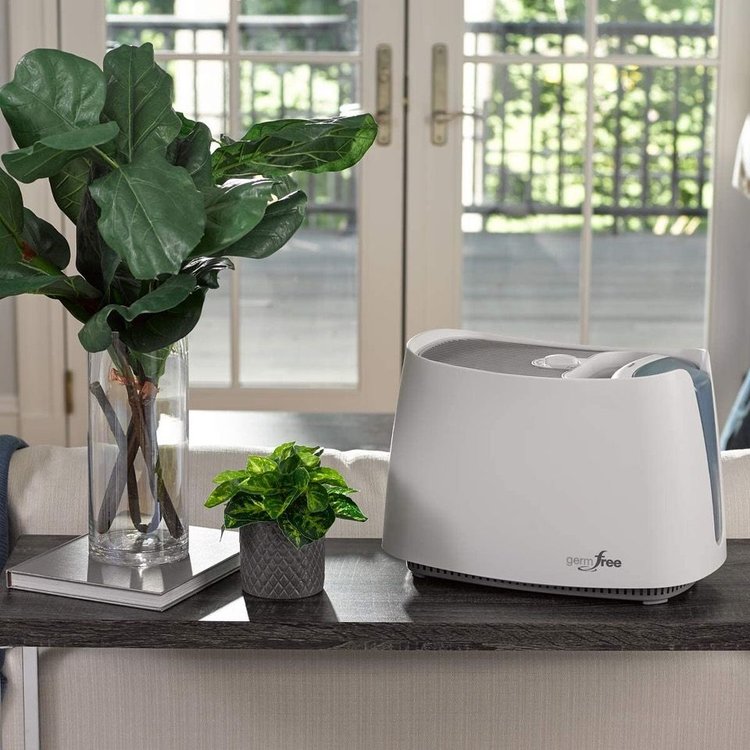 The 6 Best Humidifiers to Keep You Breathing Easy During Quarantine ...