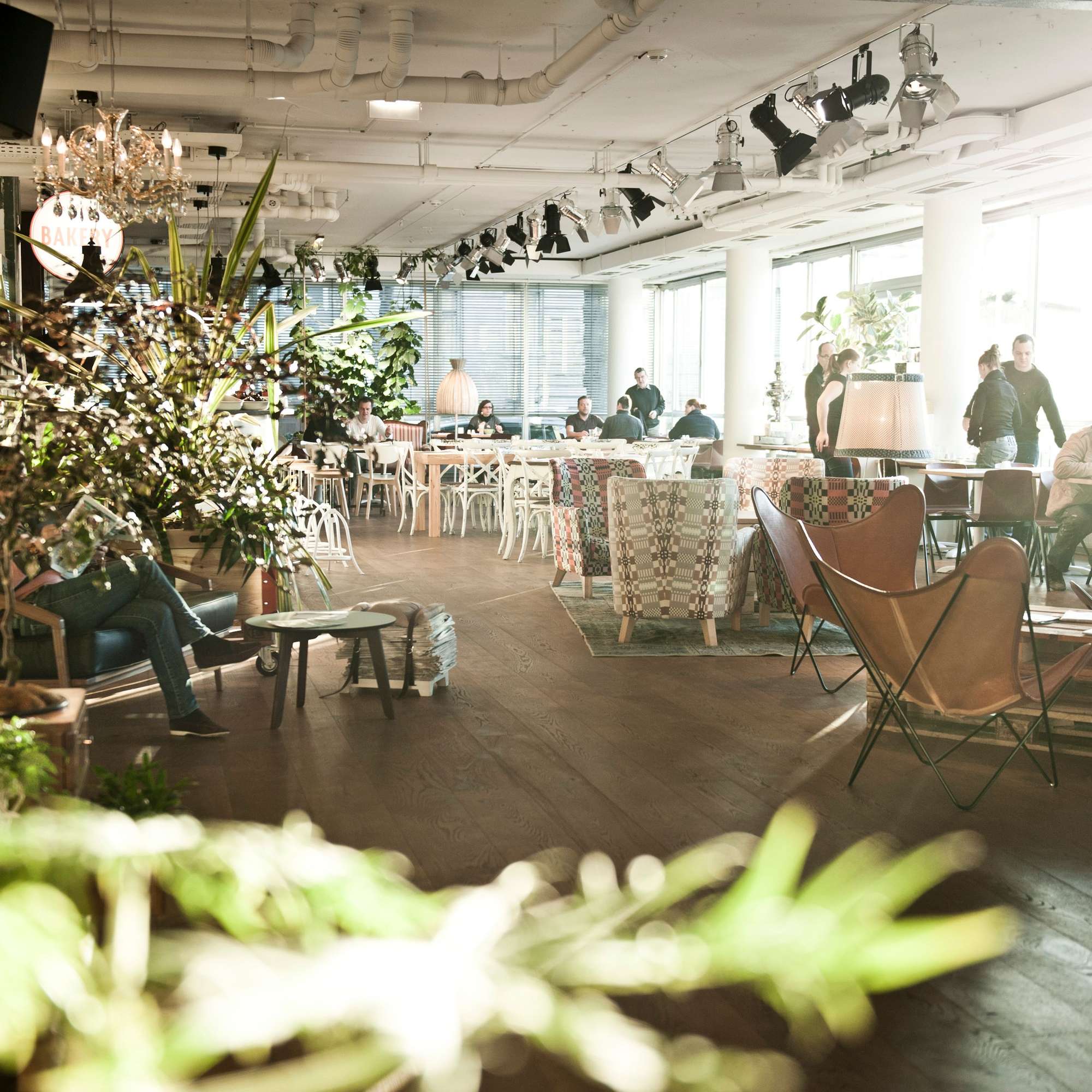 Hotel Daniel Expert Review | Fodor’s Travel