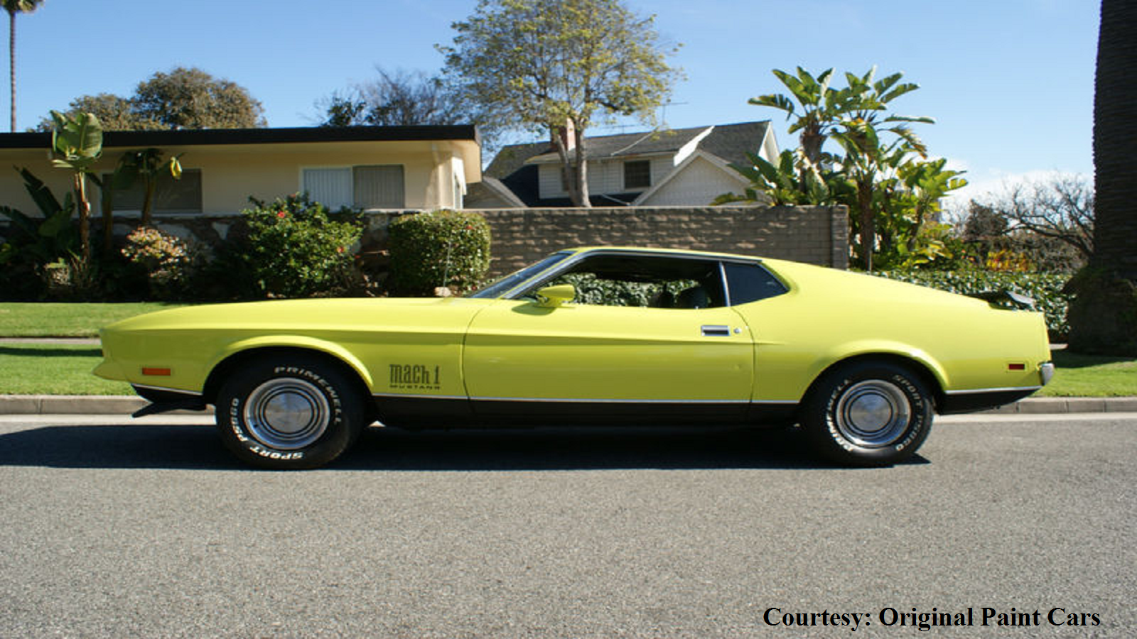 10 Fords in Easter Egg and Candy Colors | Ford-trucks