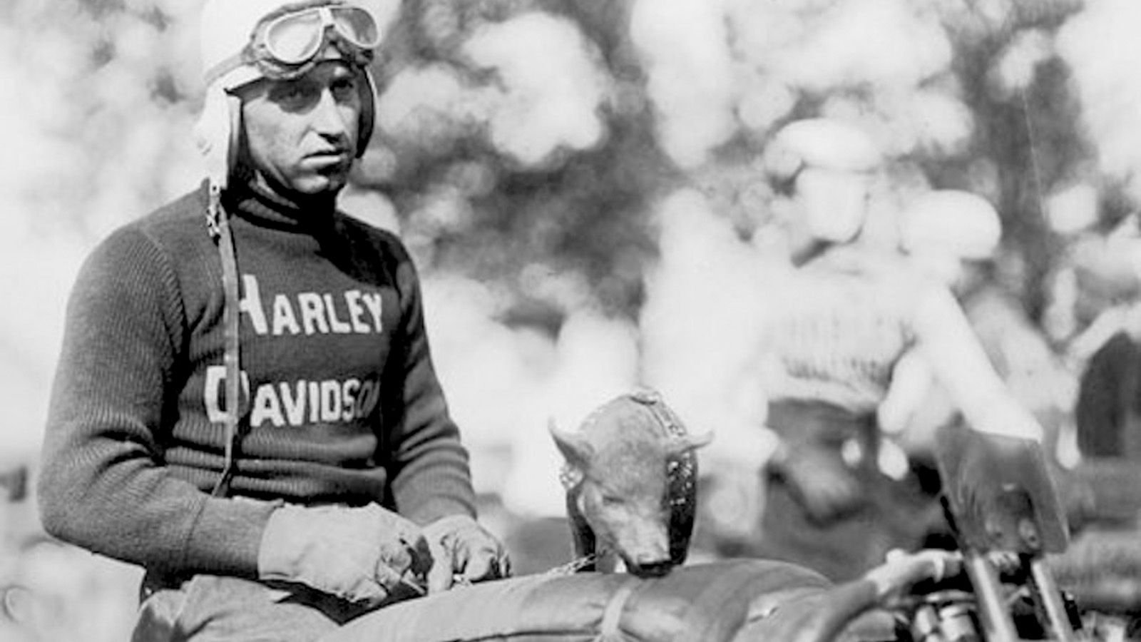 Harley-Davidson's Roughneck 'Hog Boys' | Hdforums