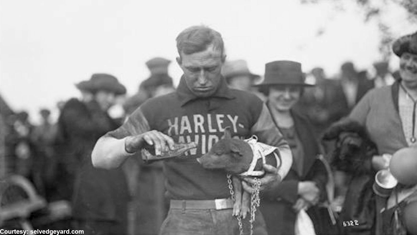 14 Facts about Harley-Davidson Racing Department, Part 1 | Hdforums