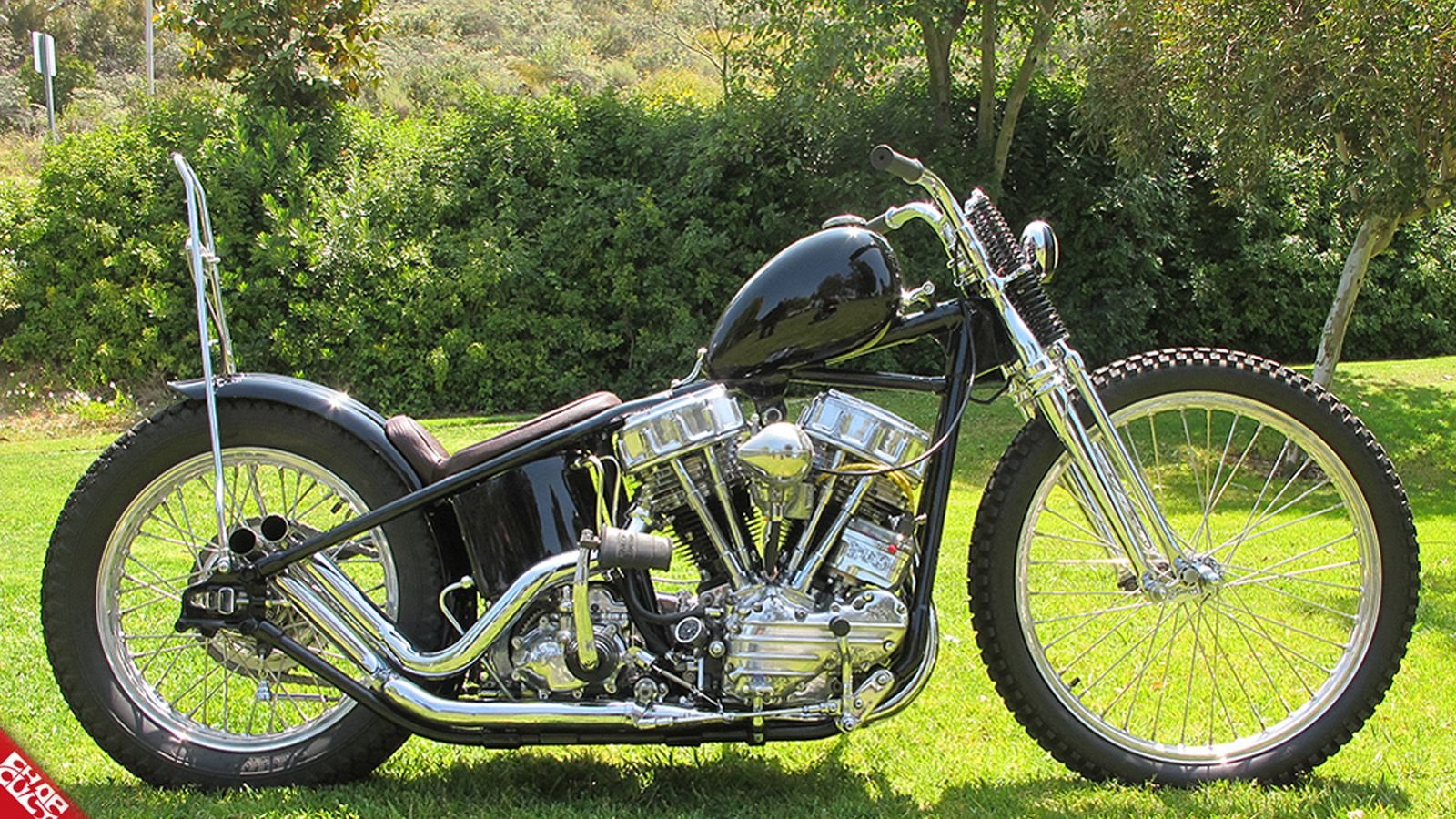 Siksika: 1956 Panhead Trophy Winner | Hdforums