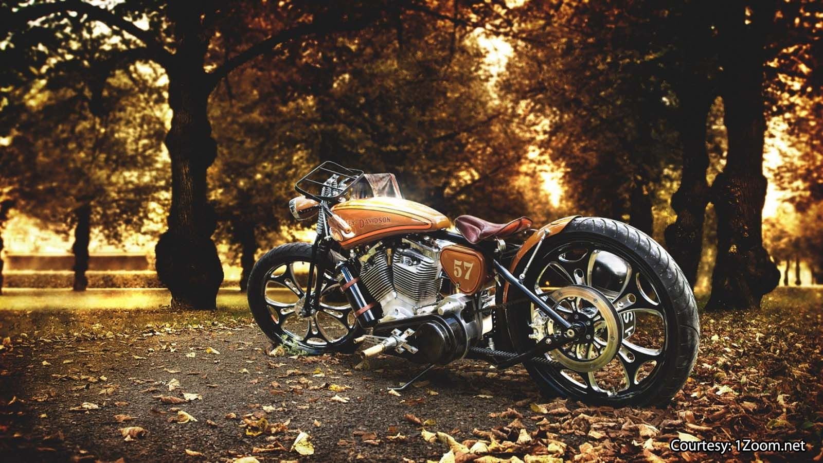 9 Harley-Davidsons Under Autumn Leaves | Hdforums