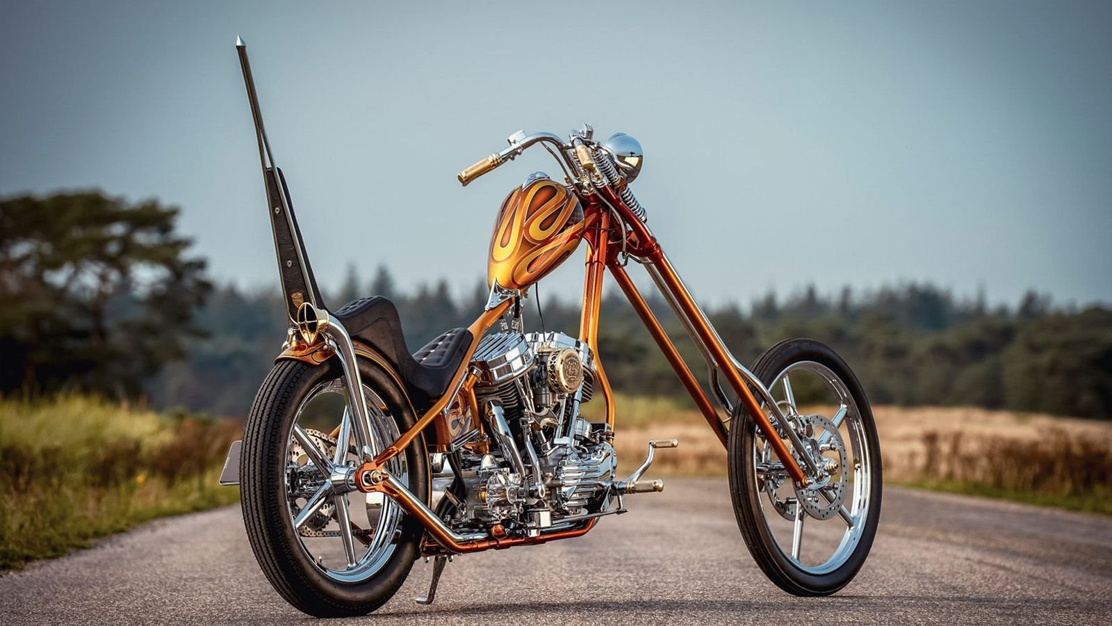 Anniversary Panhead is a Personal Project | Hdforums