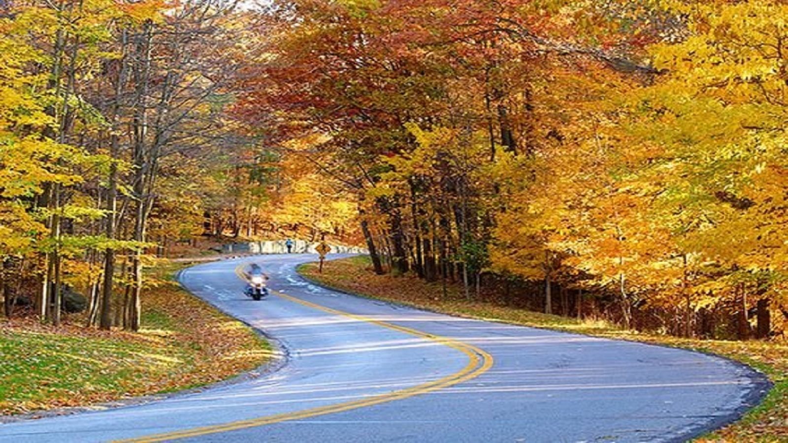 Even More Rides to Do Before You Die - from Forums Member Suggestions ...