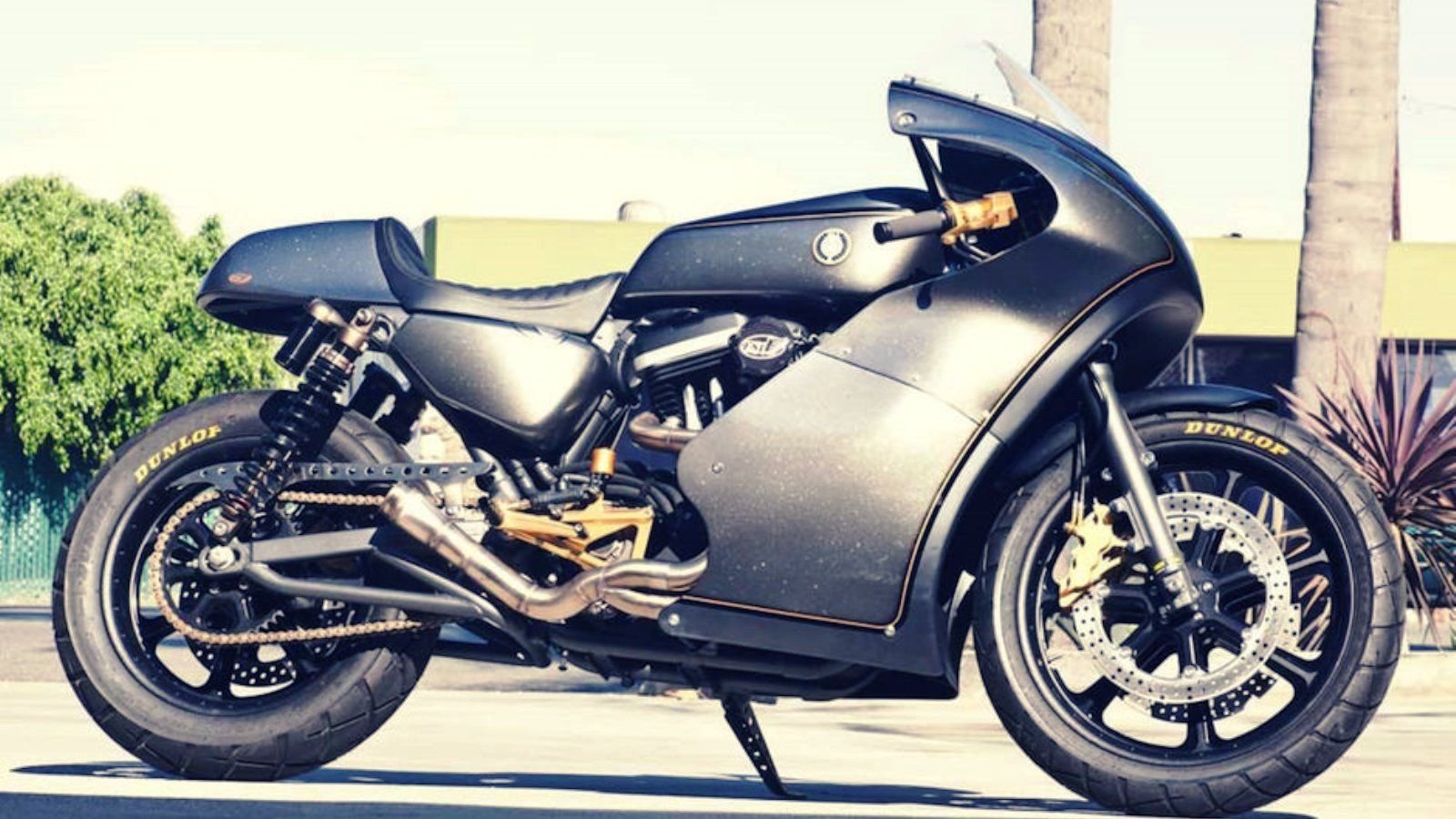 10 Best Custom Harley-Davidson Sportsters | Hdforums