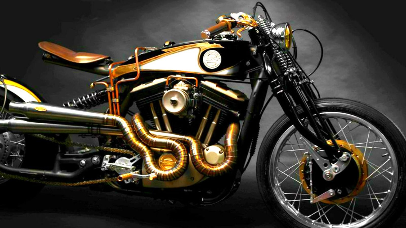 10 Best Custom Harley-Davidson Sportsters | Hdforums