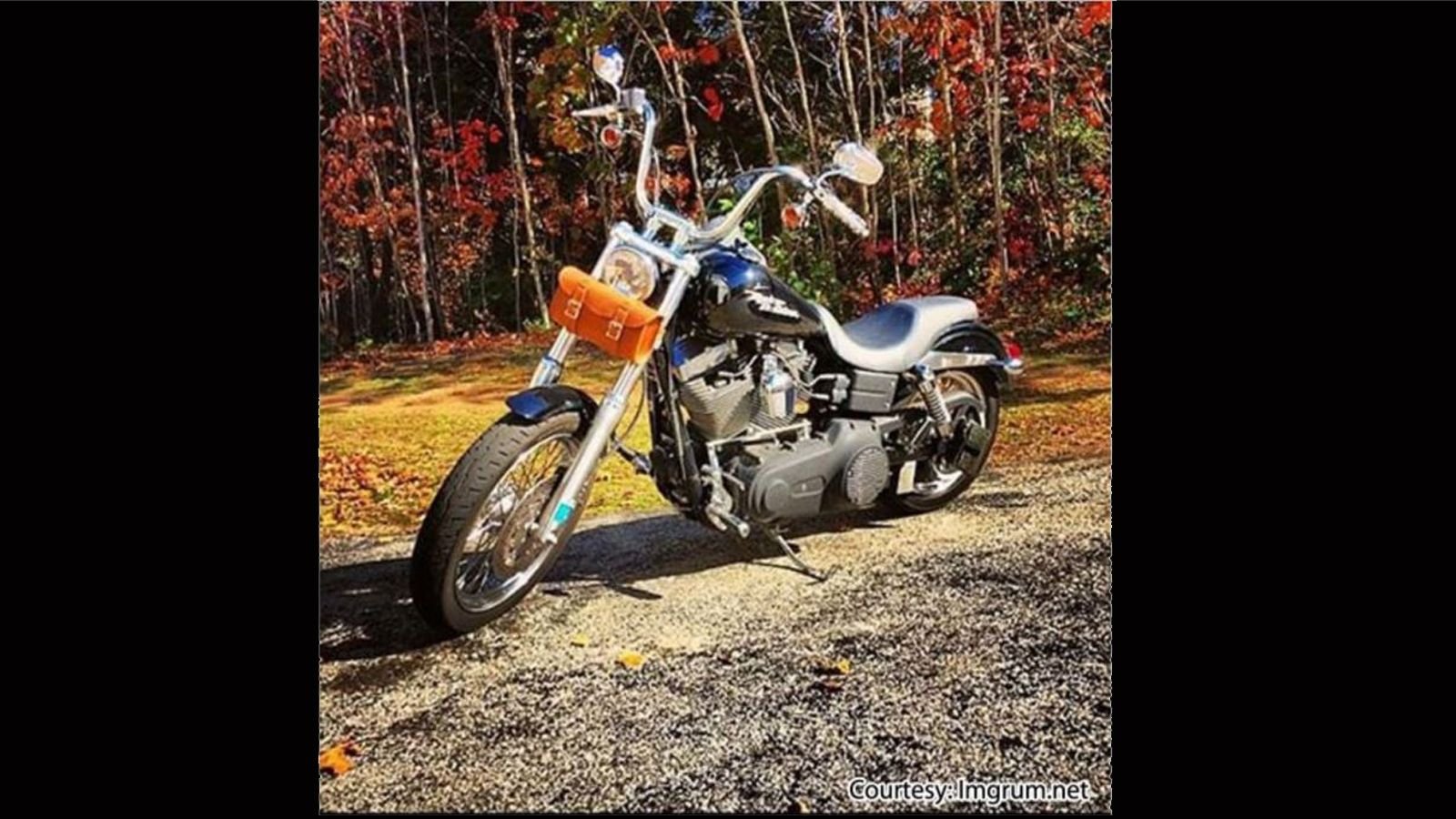 9 Harley-Davidsons Under Autumn Leaves | Hdforums